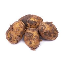 Online greengrocer - Rafters Of Driffield